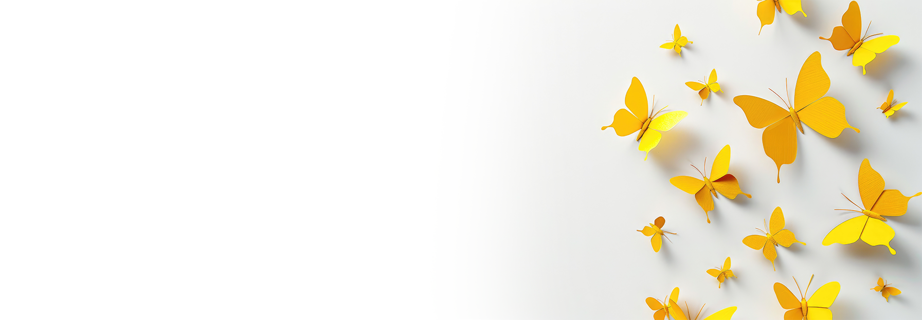 MHEDS – Multi-Cultural Health Evaluation Delivery System